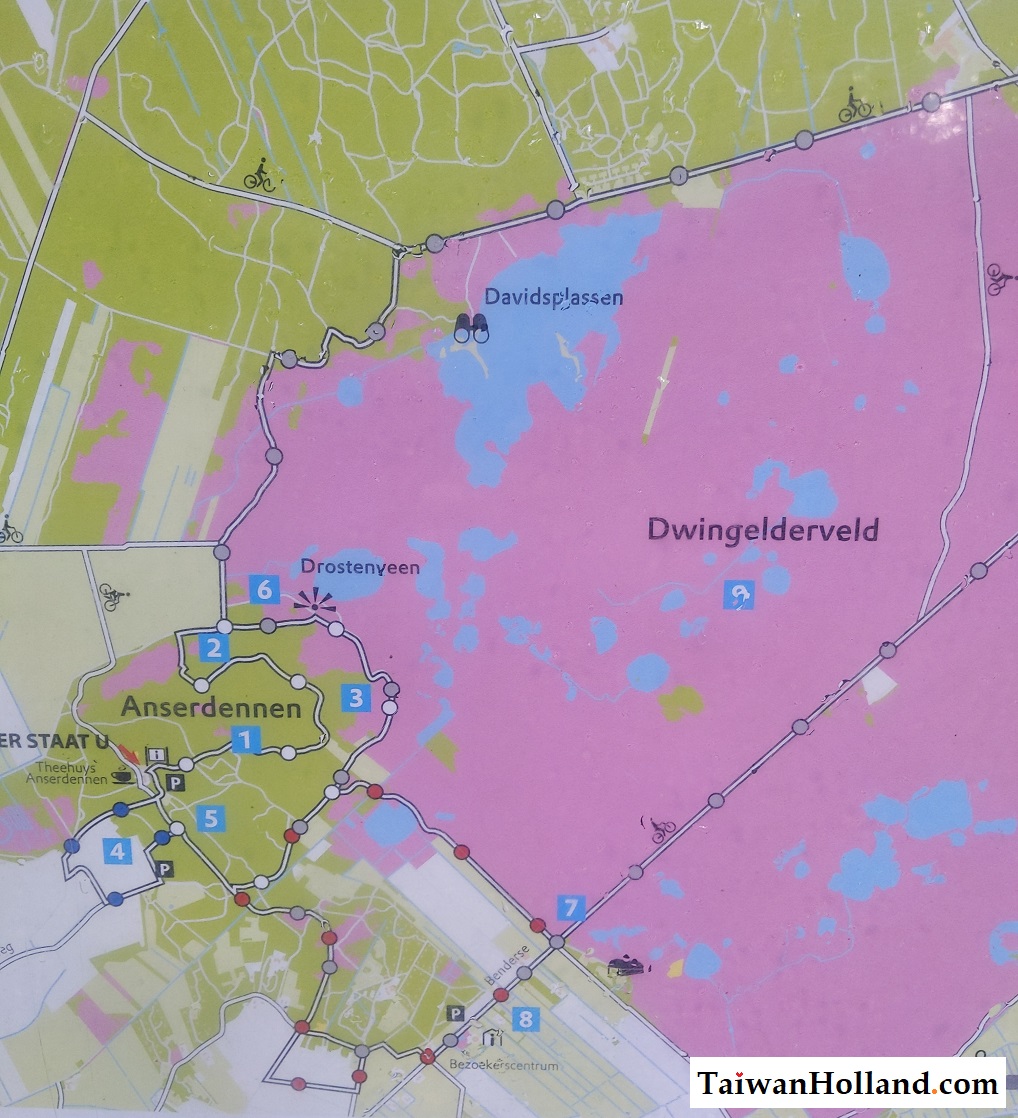 Guide to The Dutch Heide (heather) 2024! – Taiwanholland.com